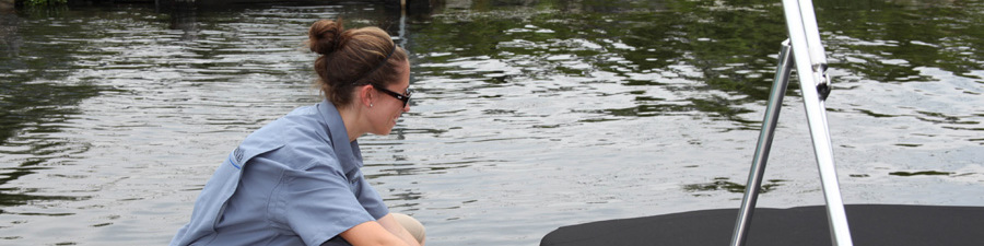 Tipping Your Marina Team: How Much Should You Tip? | Bridge Marina